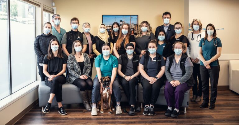 About Us - Shoreline Medical